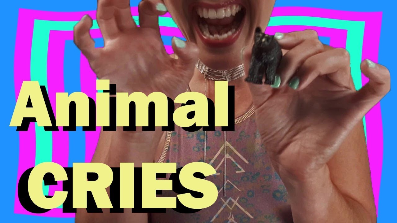 ASMR: Animal Cries!!!!! - YouTube