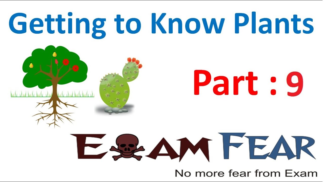 Biology Getting to Know Plants Part 9 (Veins & Venation : Parallel ...