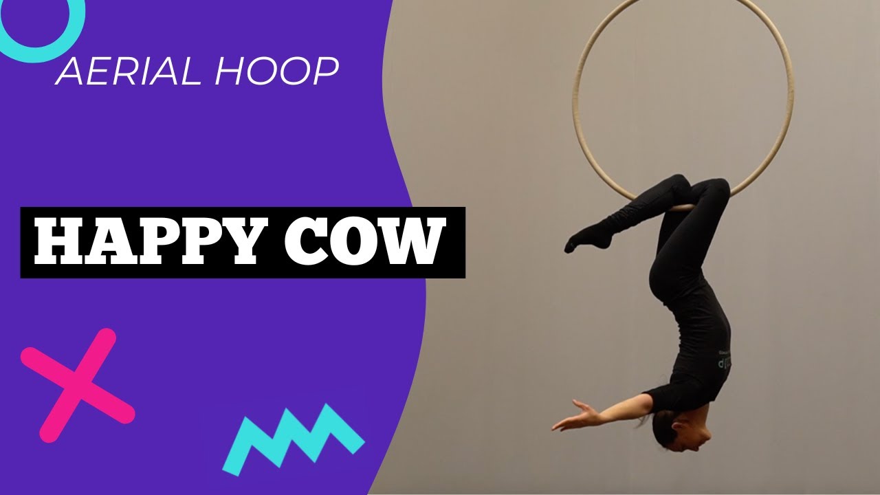 HAPPY COW?! What Kind of a LYRA TRICK Name Is That?! Beginner Aerial ...