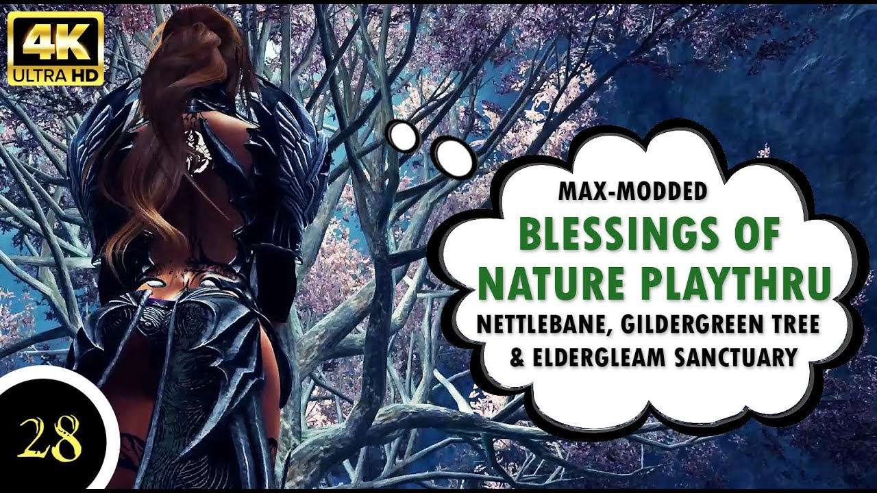 Eldergleam Sanctuary | Eldergleam Quest | Blessing of Nature Quest ...