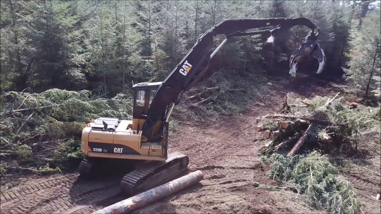 Starting A Brand New Logging Clearcut (Drone View) - YouTube