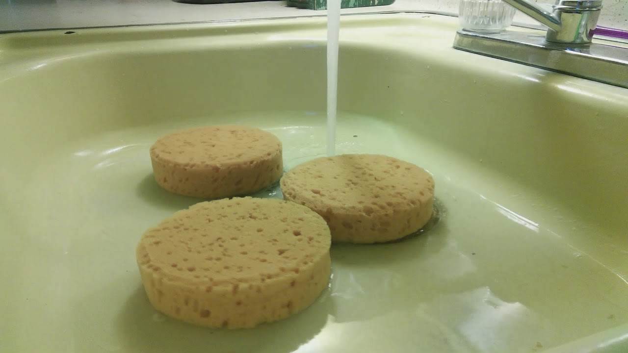 Water and Sponge play - YouTube