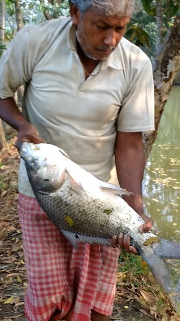 Babar jale preach🥰 amazing size big katla fish#shorts#youtubeshorts# ...