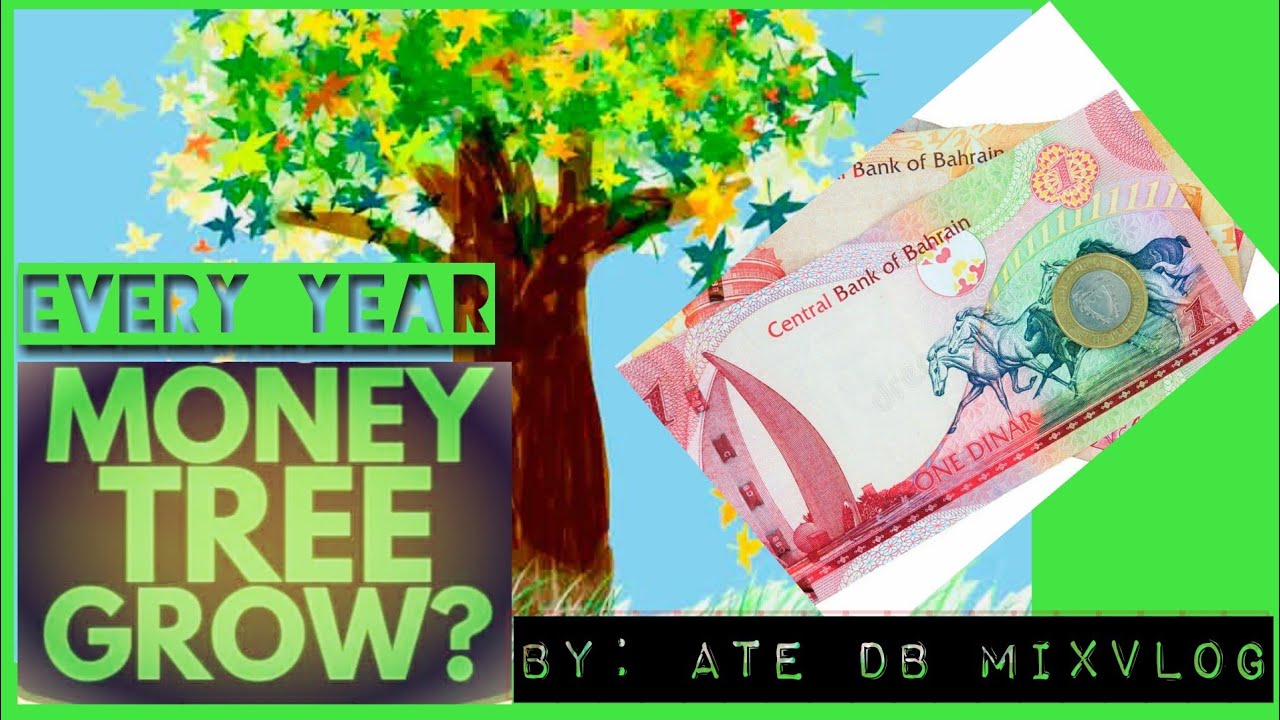 Money on the TREE! Not SCAM! - YouTube