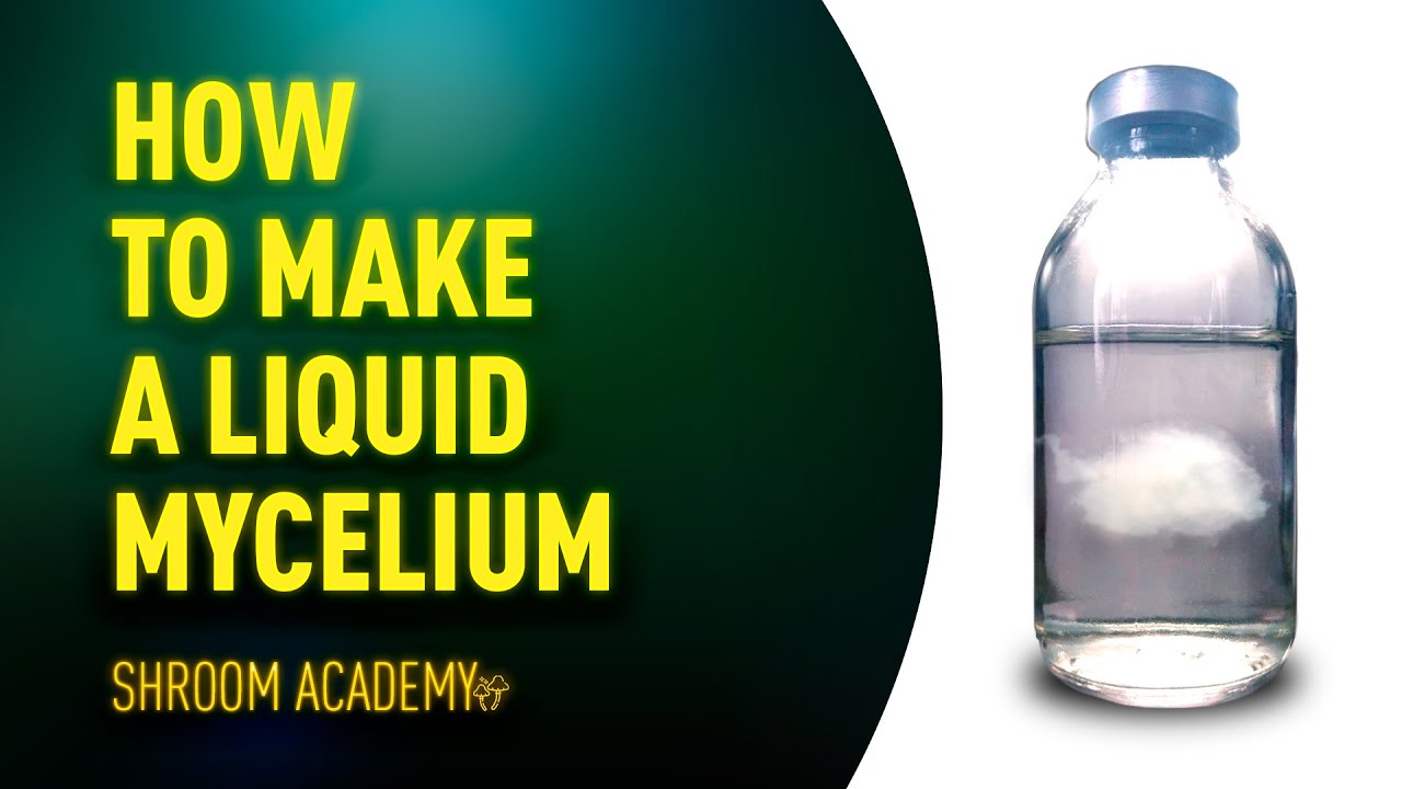 🍄 Shroom Academy how to make a liquid mushroom culture or liquid ...