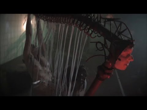 Die lebende Harfe (The human harp) - YouTube