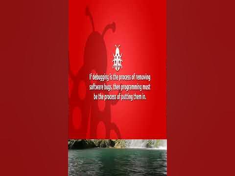 Memes for True Programmers: 233 - YouTube