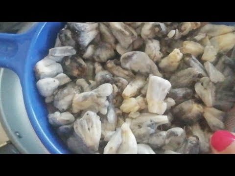 Como Cocinar Huitlacoche Hongo Del Maiz - YouTube