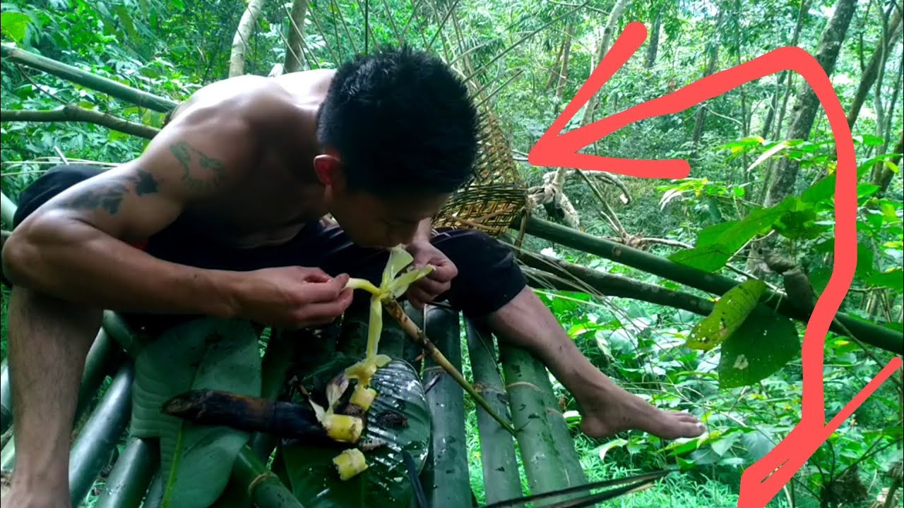 Roasting bamboo shoots with fish 😋 || How to make a Bamboo basket|| Eco ...