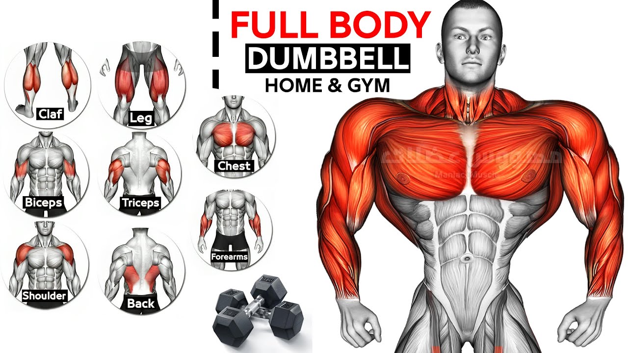 Full Body HOME Dumbbell WORKOUT (squats, chest ,triceps, biceps , back ...
