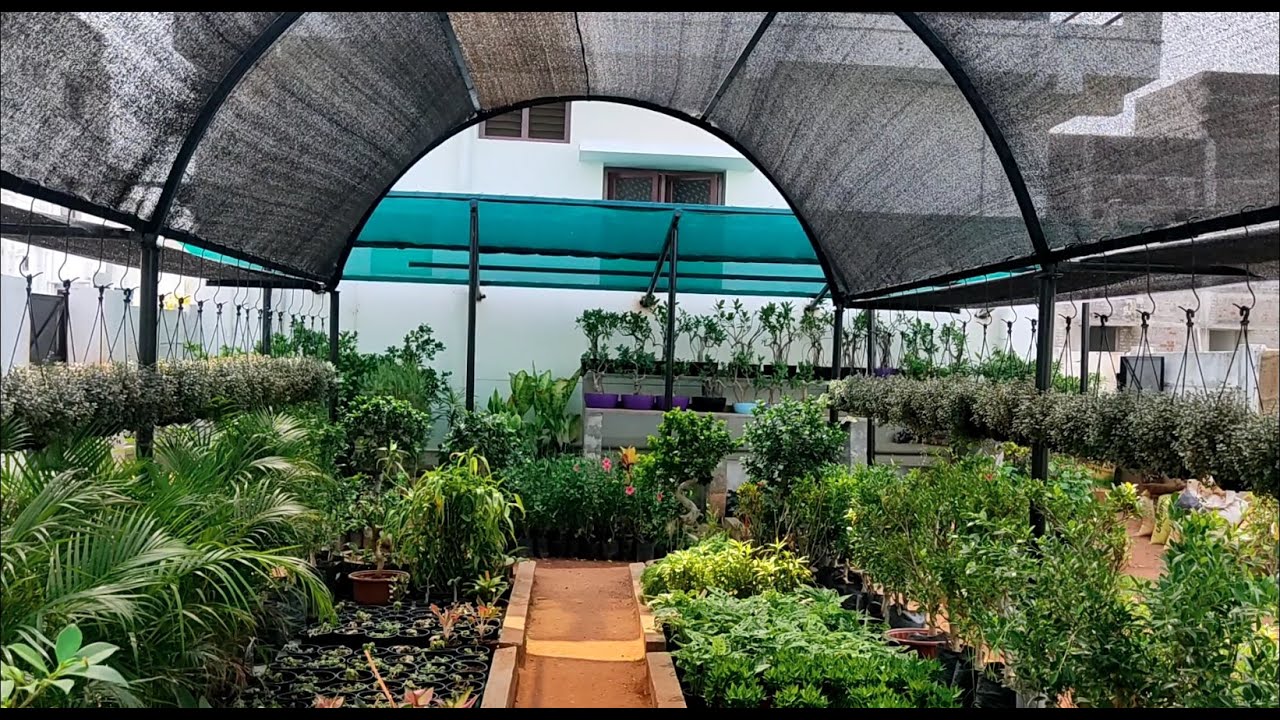 GARDEN setup | How to protect terrace garden flower garden and vertical ...