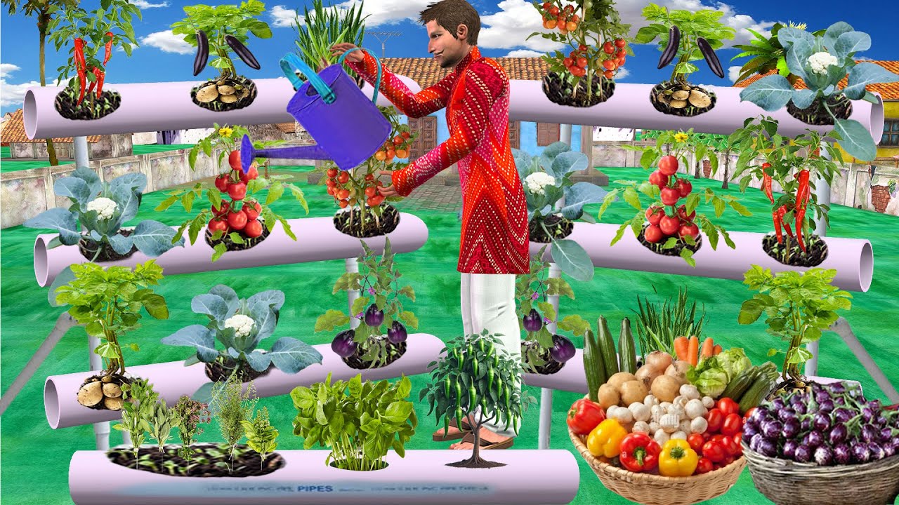 PVC Pipes Vegetables Farming Growing Organic Vegetables Hindi Kahani ...
