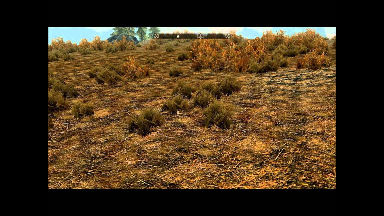 Skyrim - Grass Re-Texture - YouTube