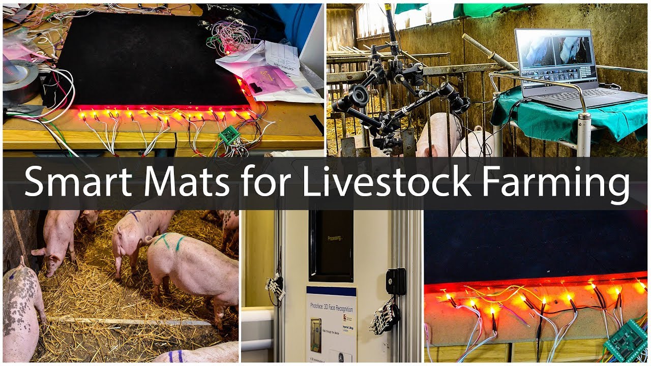 Smart Mats for Livestock Farming - YouTube