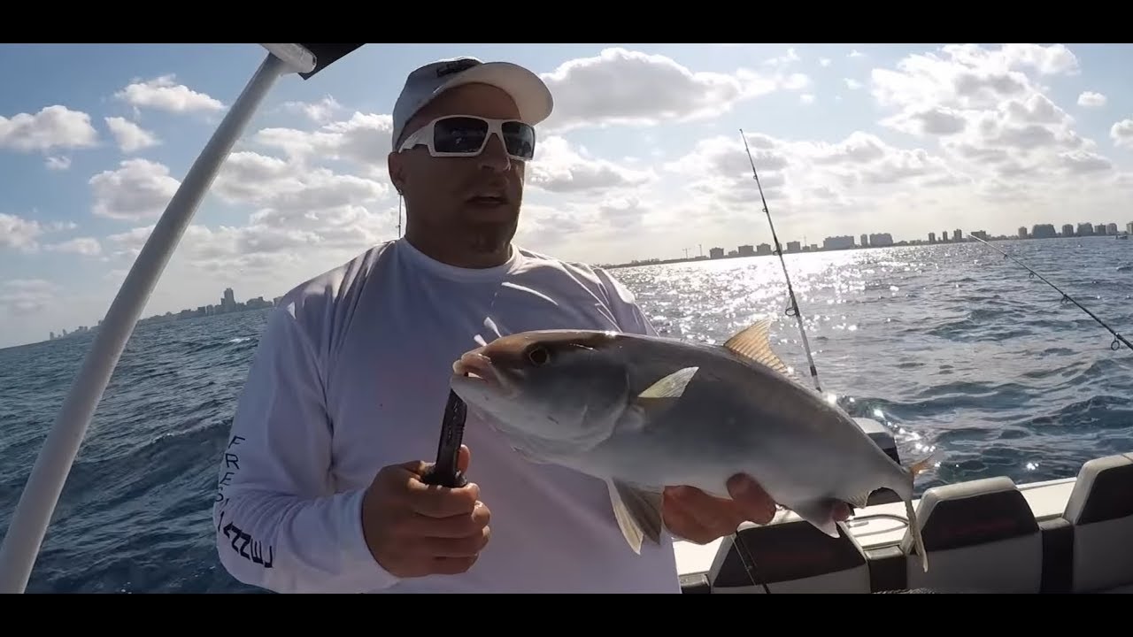Miami Beach Spring break Fishing - YouTube