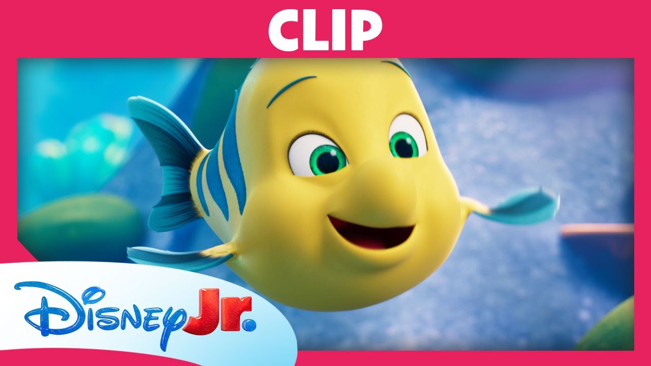 🏃 Fabius muss trainieren! | Disney Junior Arielle - YouTube