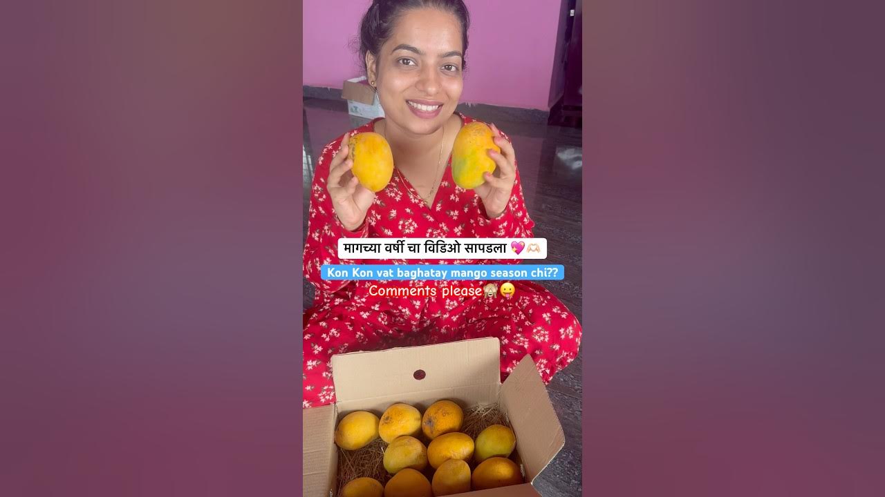 हापूस💖🫶🏻#youtubeshorts #shorts #shortsfeed #trending #village #mango #villagelife #viralvideo ...