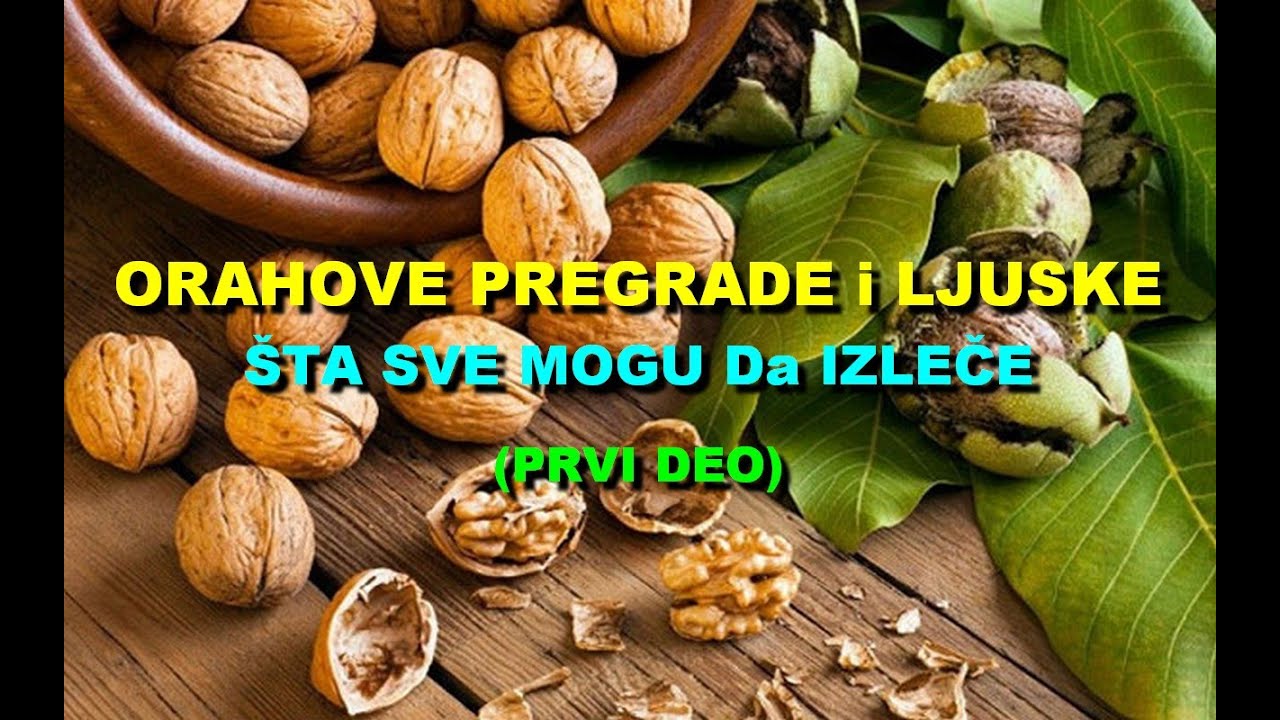 ORAHOVE PREGRADE i LJUSKE - ŠTA SVE MOGU Da IZLEČE (PRVI DEO) - YouTube