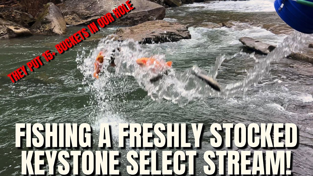 FISHING A FRESHLY STOCKED KEYSTONE SELCT STREAM! (WE CAUGHT 40+ TROUT ...