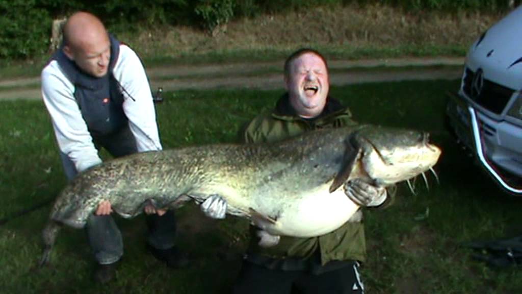 110 pound catfish!!! - YouTube