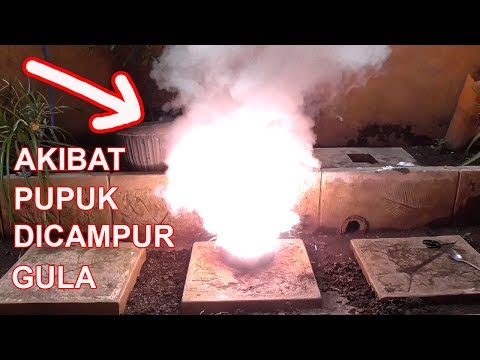 VIDEO UNIK BAHAYA GULA DICAMPUR PUPUK