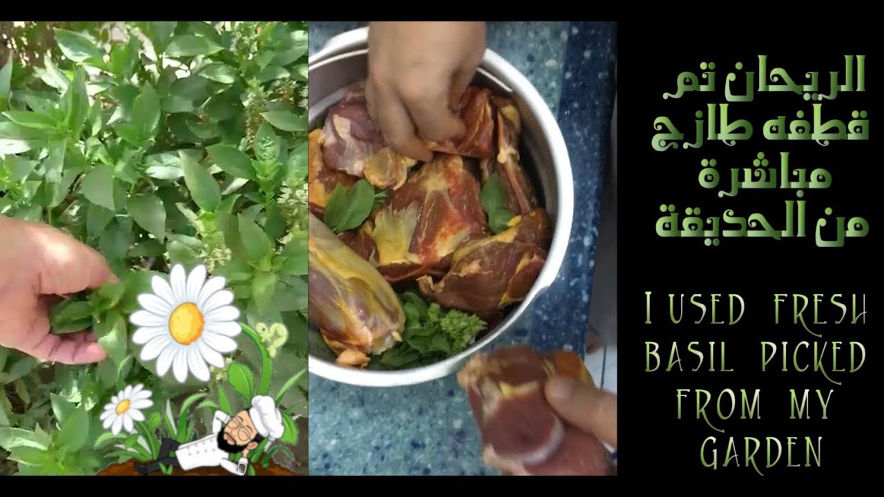 حنيذ اللحم بالريحان Lamb Haneez with Basil - YouTube