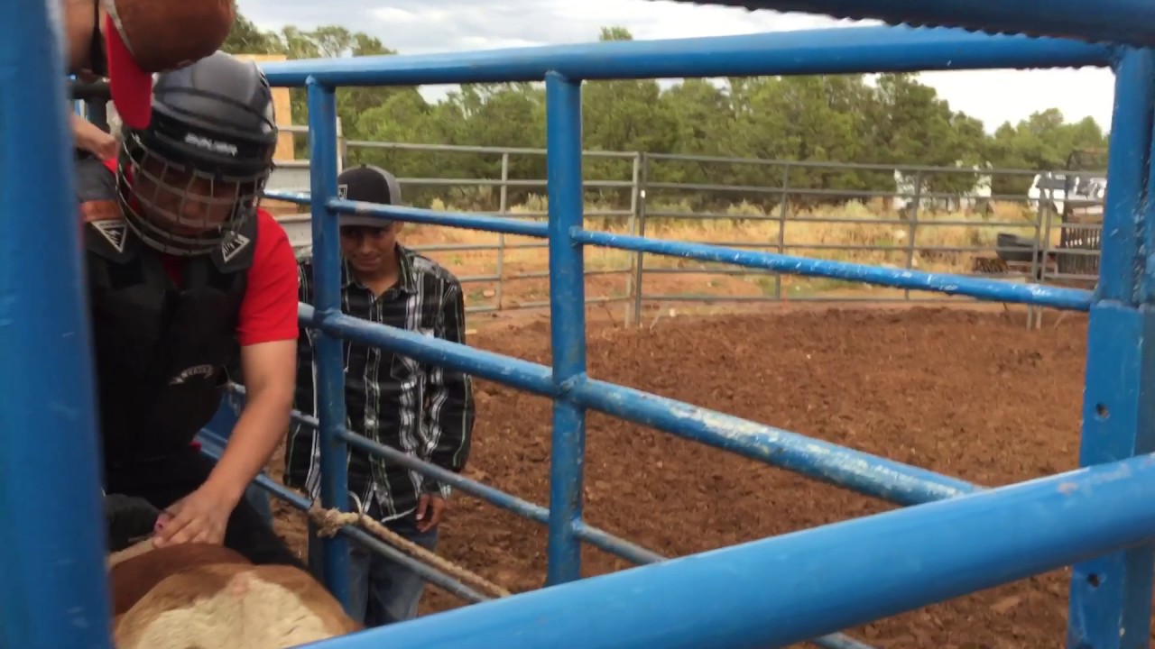 Bull Riding Practice At Cody Jesus House ( Sheridan S Willson) Riding ...