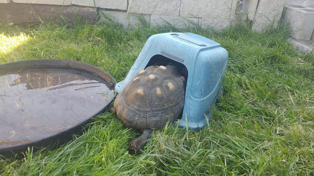 May need bigger hide boxes - YouTube