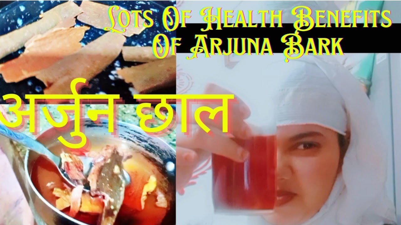 Lots Of Health Benefits Of Arjuna Bark (backed by science) | Arjun Chal ...