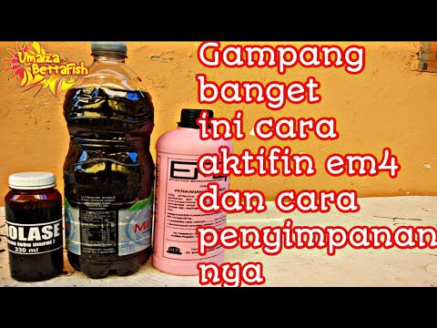 CARA AKTIFKAN EM4 AGAR MENDAPATKAN HASIL YANG MAKSIMAL - YouTube