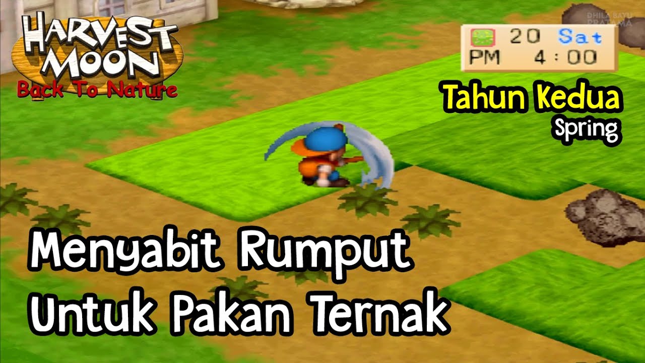 Menyabit Rumput Untuk Pakan Ternak Harvest Moon Back To Nature - YouTube