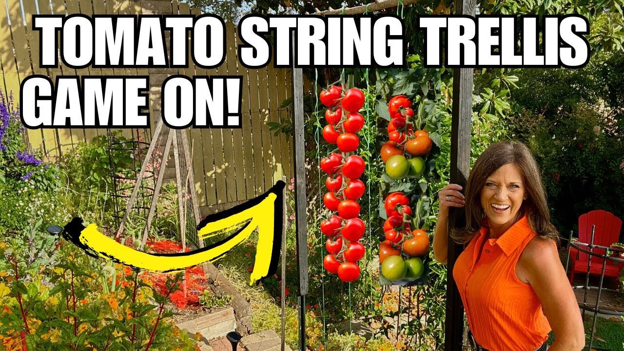 Tomato String Trellis: Game On! - YouTube