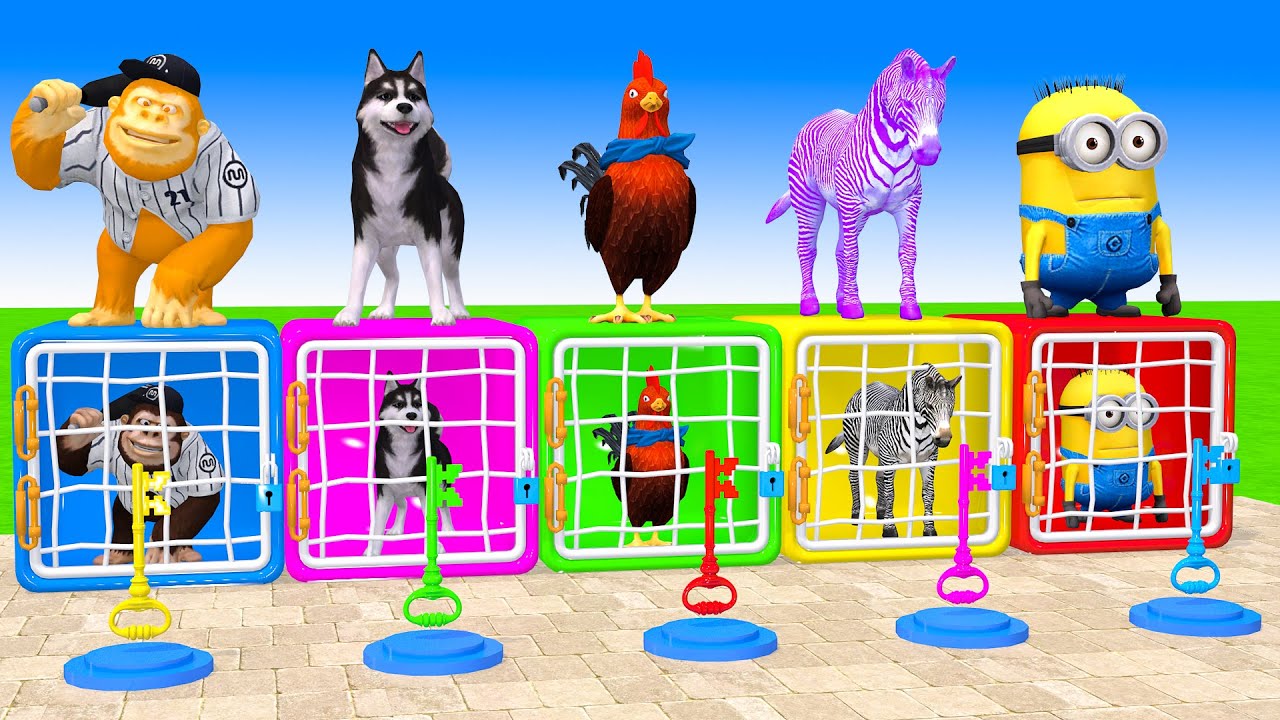 Long Slide Game With Gorilla Husky Chicken Zebra Minion Animal Game ...