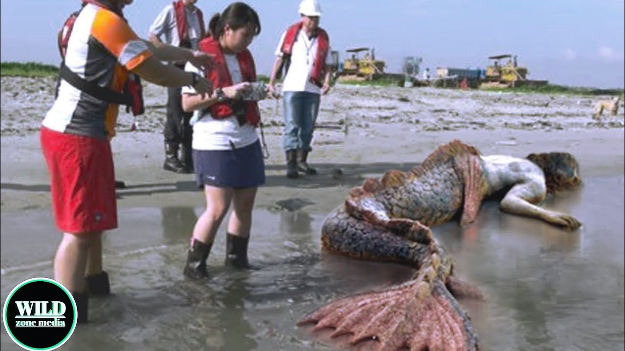 Samaki mtu akutwa ufukweni mwa bahari | Matukio ya ajabu.! - YouTube