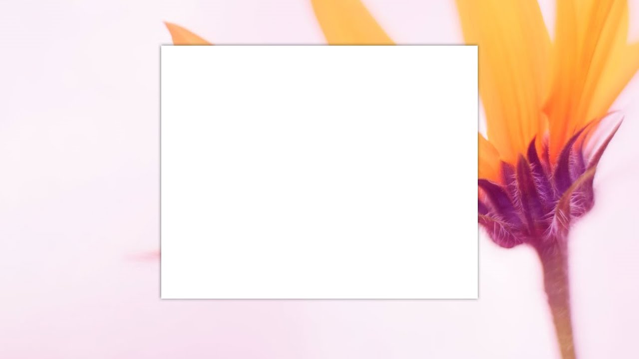 for C#, VB.NET - Drop Shadow For Form | Guna2ShadowForm | Guna UI2 - YouTube