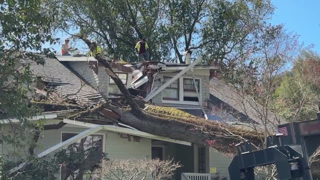 Tree falls on San Anselmo home, traps person inside - YouTube