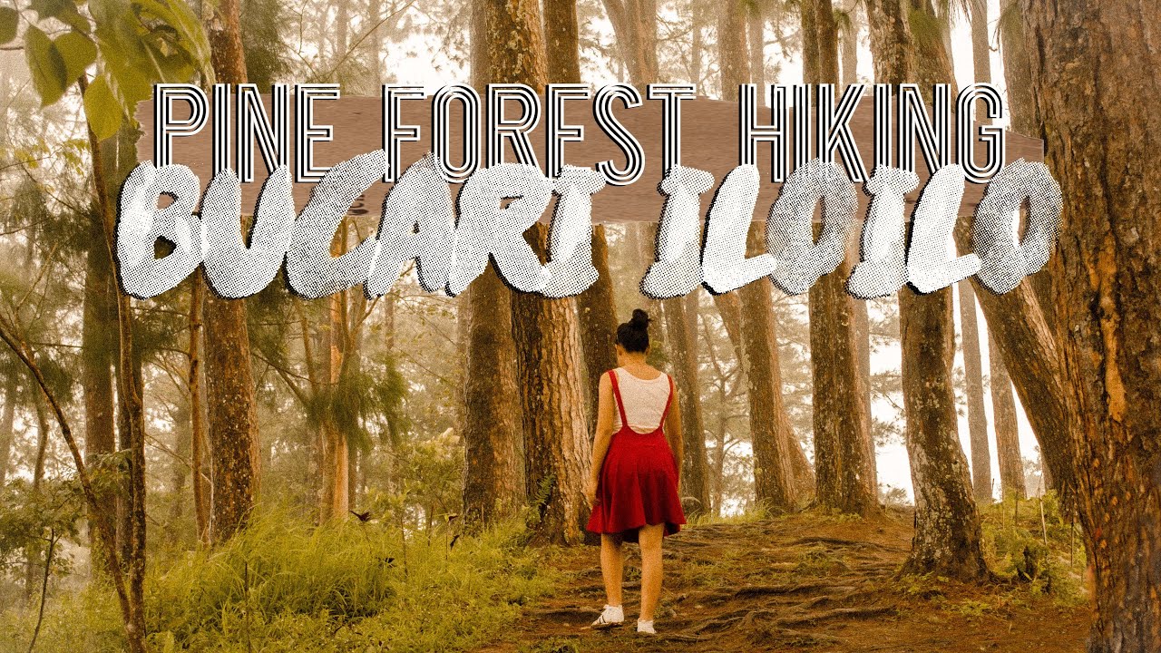 Hiking the Bucari Pine Forest in Leon Iloilo - YouTube