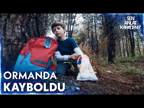 Yiğit ormanda tek başına! - Sen Anlat Karadeniz