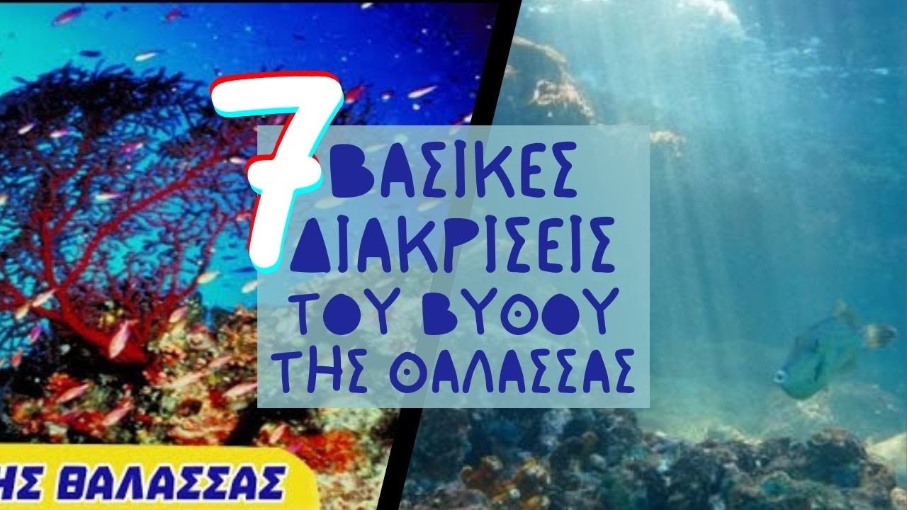 Επτά Βασικές Διακρίσεις του Βυθού της Θάλασσας - YouTube
