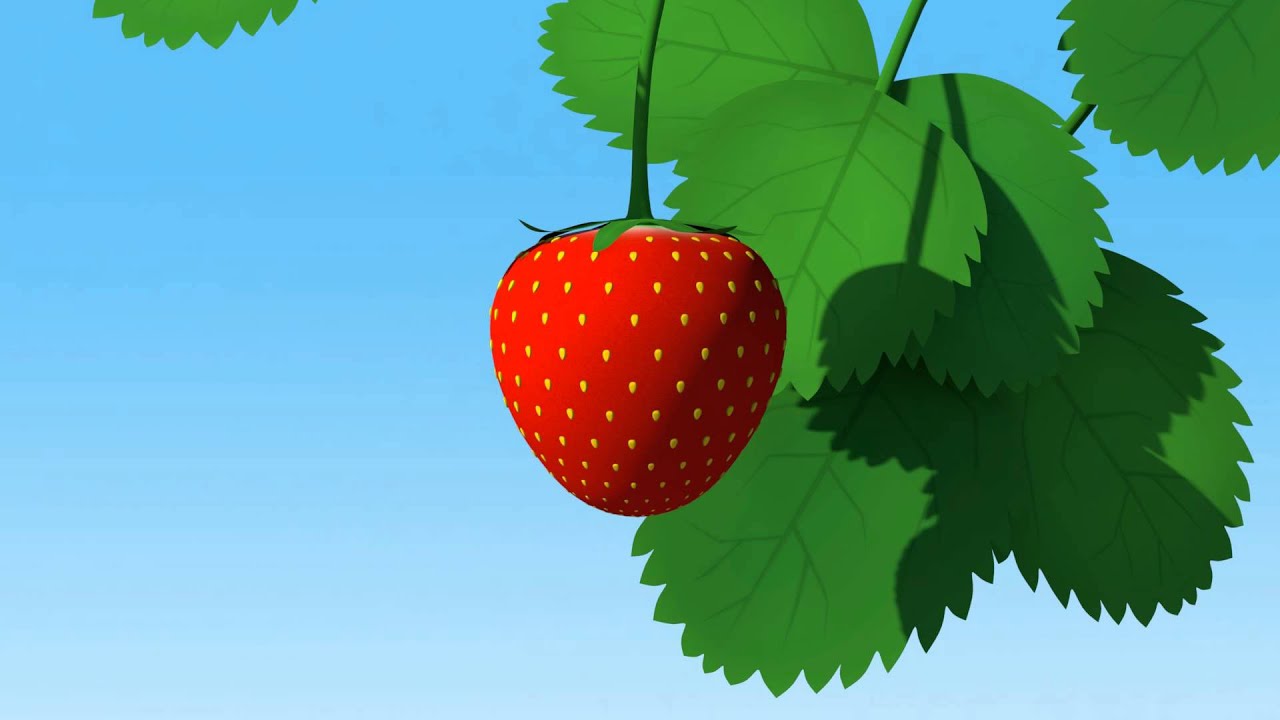 Barry - The Strawberry - YouTube