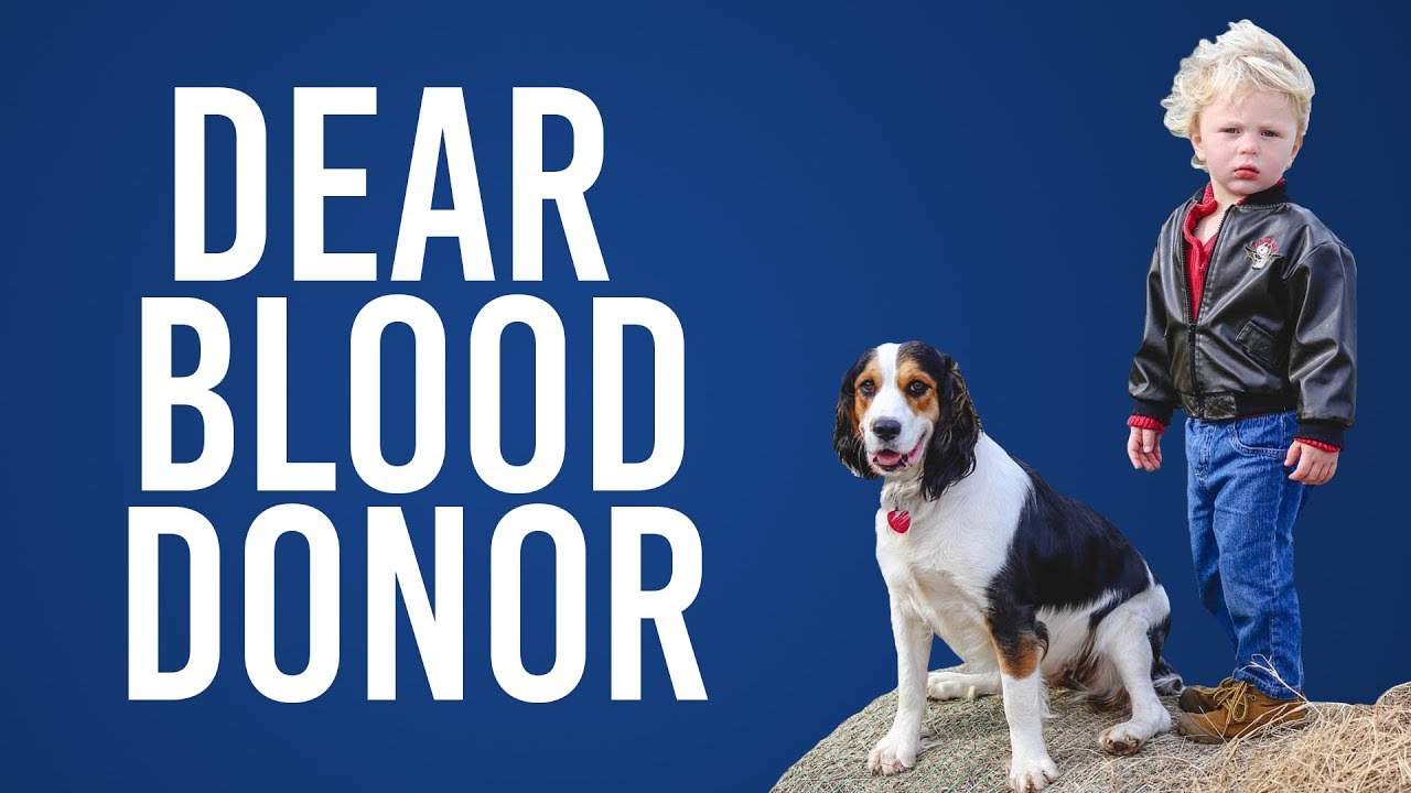 Dear Blood Donor - YouTube
