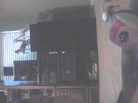 Stuffed animal chanel - YouTube