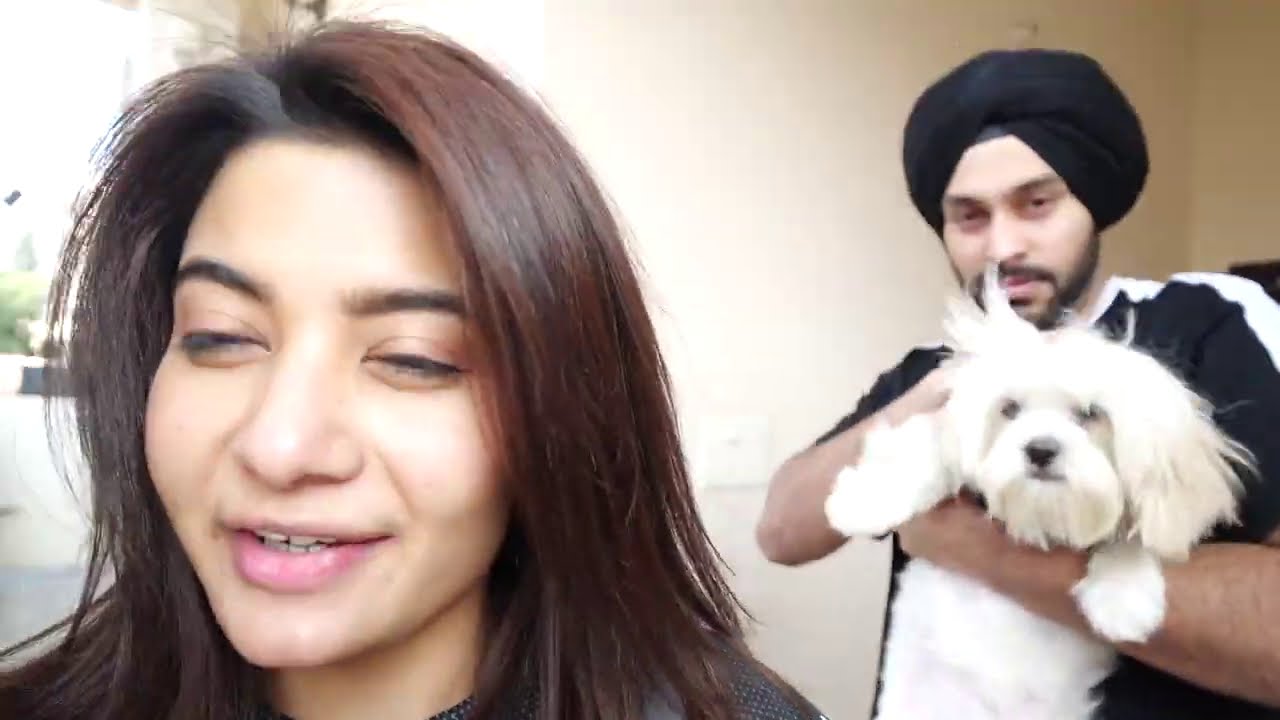 GALAT FEHMI PALO PER KISI KA KUTTA MAT PALO 😆🤣😱 | Sahib & Teena Vlogs - YouTube