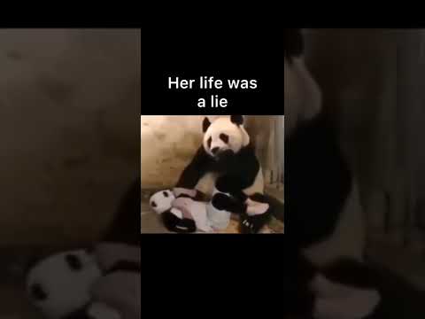 her life was a lie