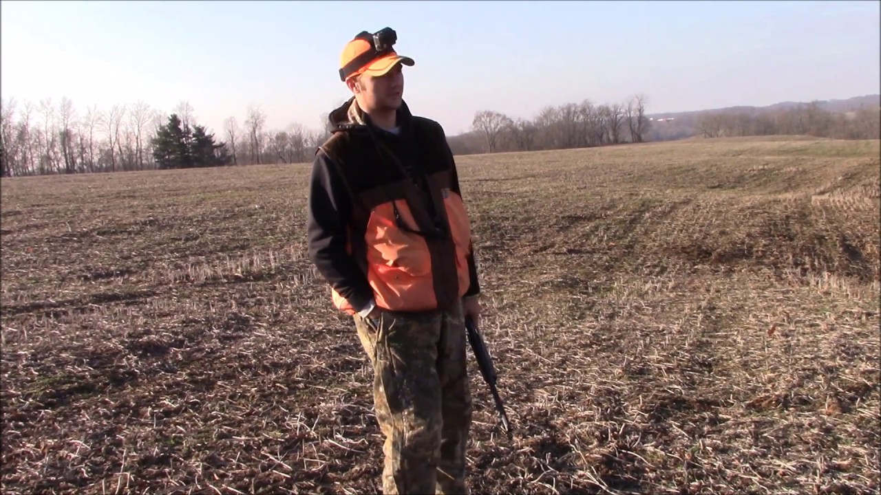 Rabbit Hunting With Beagles - YouTube