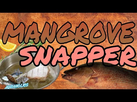 Mangrove Snapper [Deer Meat For Dinner Inspired] Whole fried snapper ...