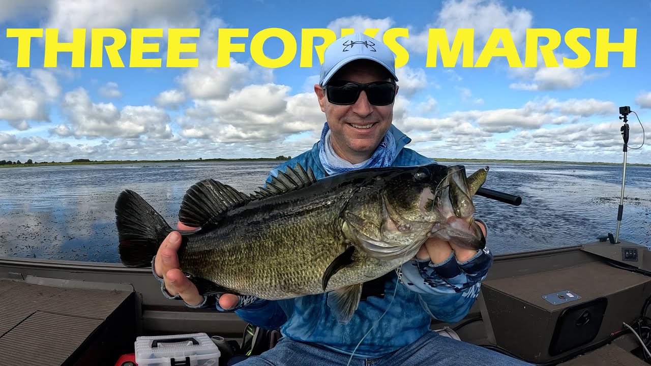 Three Forks Marsh Bass Fishing: Deep Water Tactics for Non-Shallow Bass ...