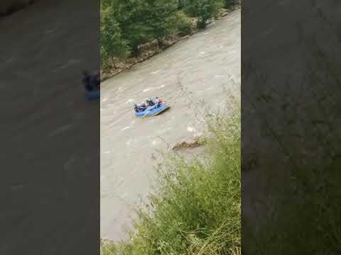 River Rafting in Manali #Shorts