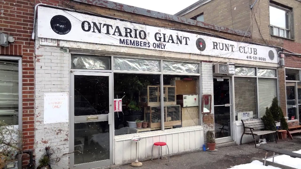 Giant Runt Club - YouTube