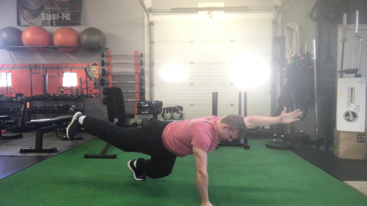 Bear Crawl Bird Dogs - YouTube